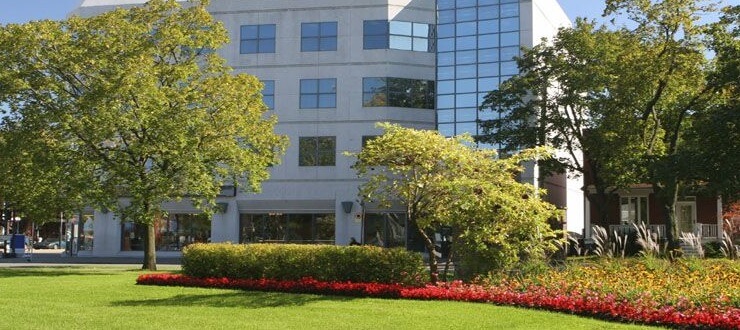 Positive First Impression With Commercial Tree Services | Stein