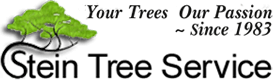 Stein Tree Service Completes Maryland Licensed Tree Expert Process